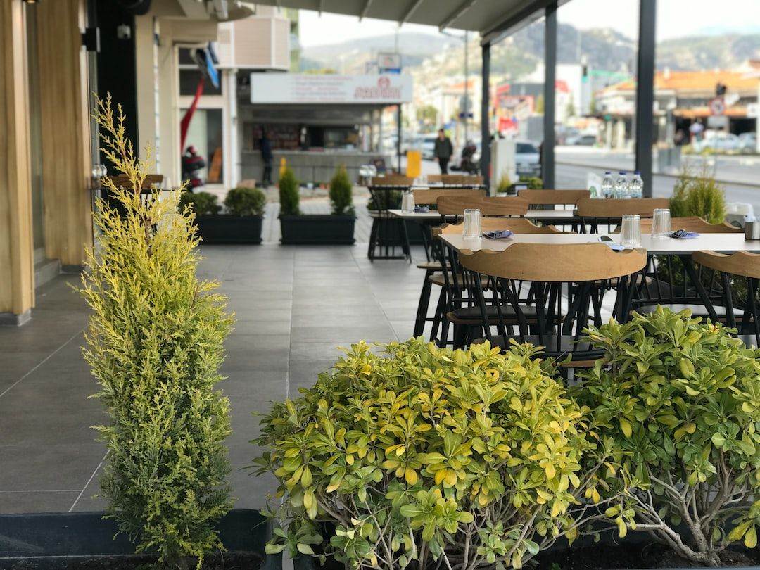 Descubre los beneficios del Café Verde: ¡La bebida saludable que